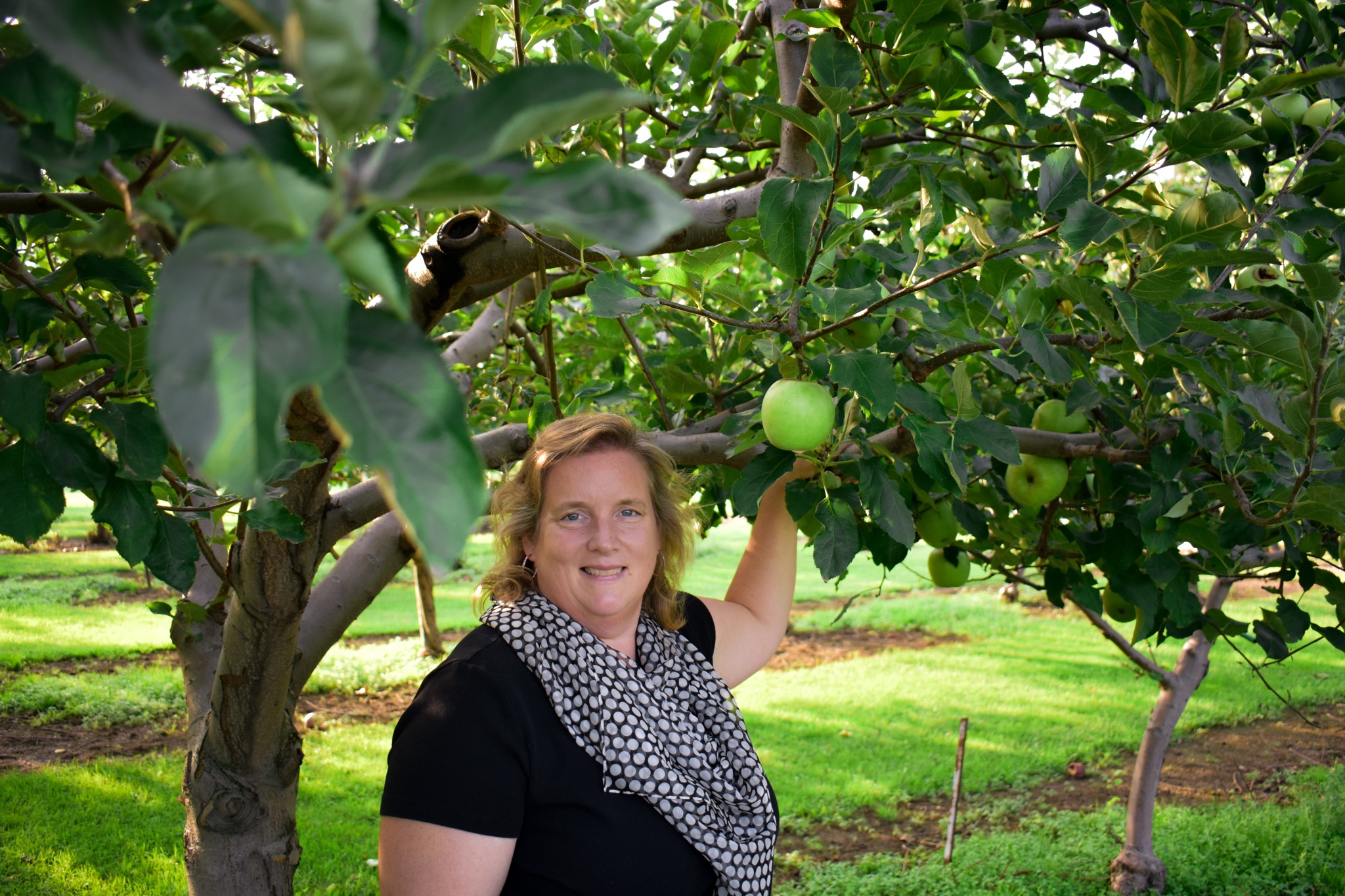 Shari Miller seeking supervisor post in town | News, Sports, Jobs ...